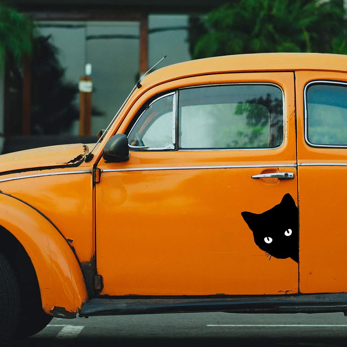 CABS- Cat Spying Peeking Vinyl Sticker – ManCaveSA
